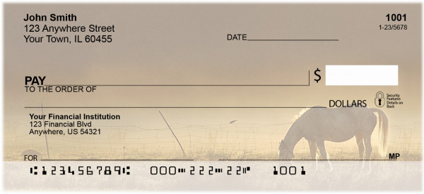 Early Morning Personal Checks | Carousel Checks