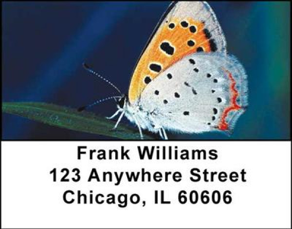 More Butterflies in Nature Address Labels | Carousel Checks